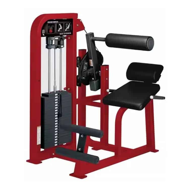 Commercial Back Extension Machine | Selectorized Lumbar & Core Trainer